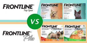 Frontline Top Spot VS Frontline Plus - CanadaVetExpress - Pet Care Tips