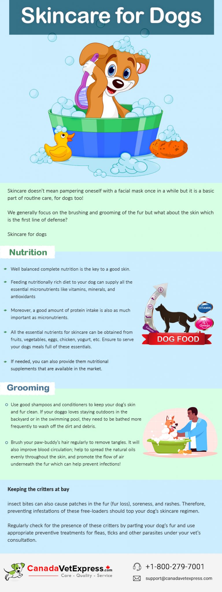 How To Keep Your Dog’s Skin Healthy || CanadaVetExpress