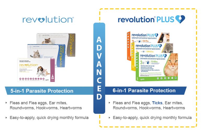 Do You Need To Switch From Revolution To Revolution Plus?