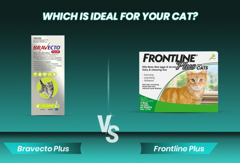 Bravecto Plus or Frontline Plus: Which is Ideal for Your Cat?
