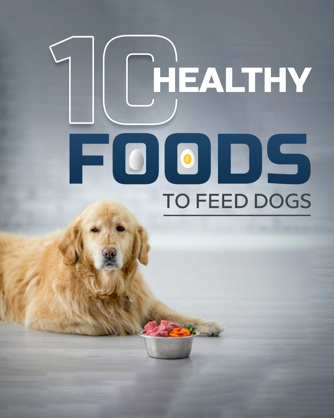 10 Healthy Foods to Feed Dogs