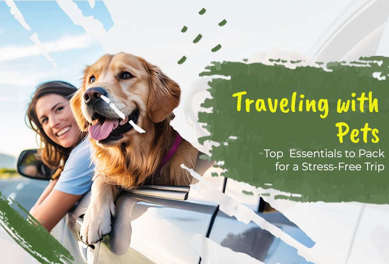Traveling with Pets: Top Essentials to Pack for a Stress-Free Trip