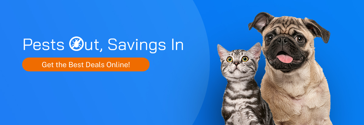 Pet Supplies Store Online: Pet Care Products | CanadaVetExpress